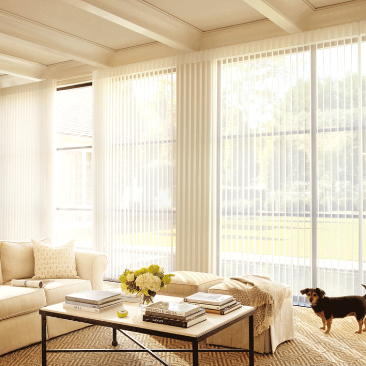 Sheer Beauty: Sheer Window Treatments