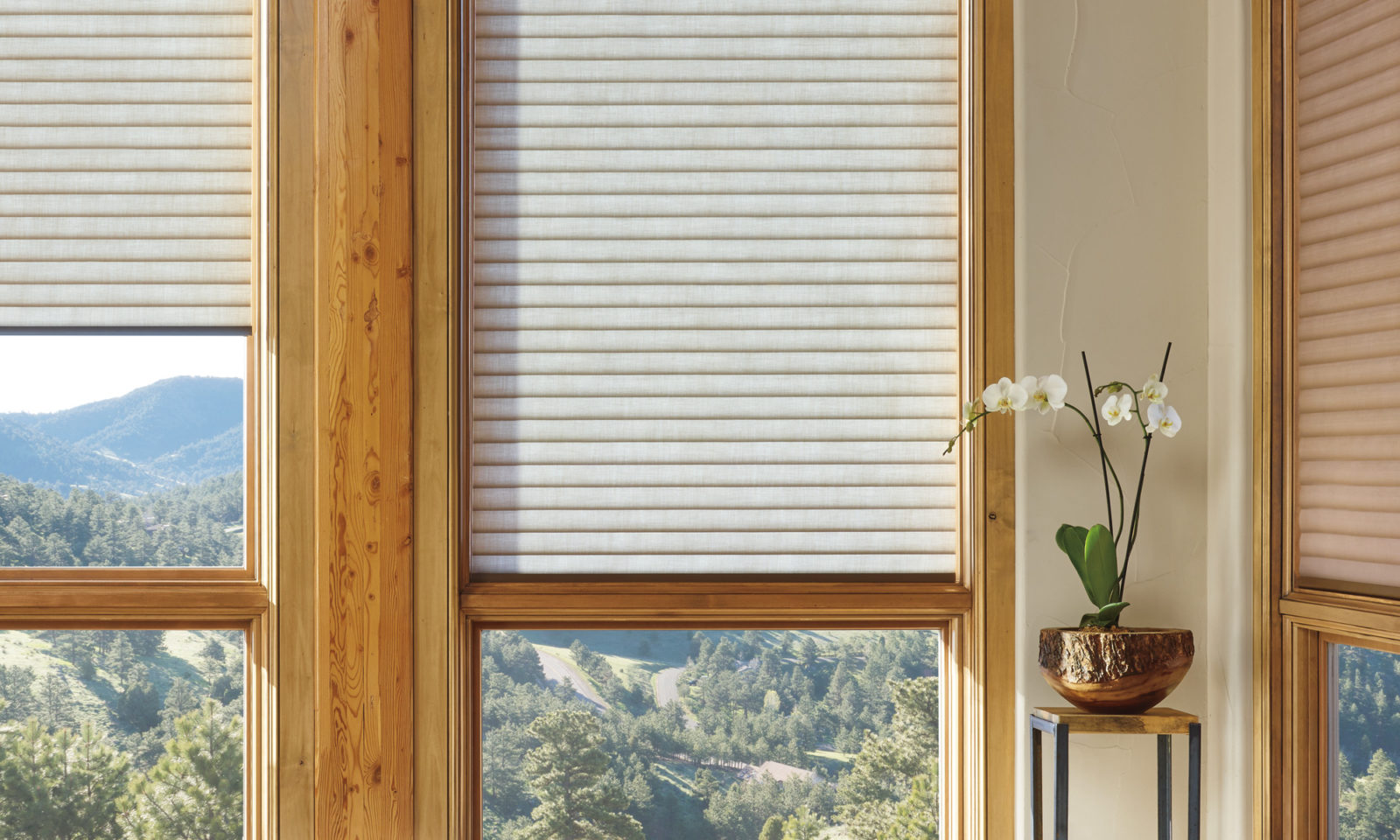 Rocky Mountain Shutters Shades